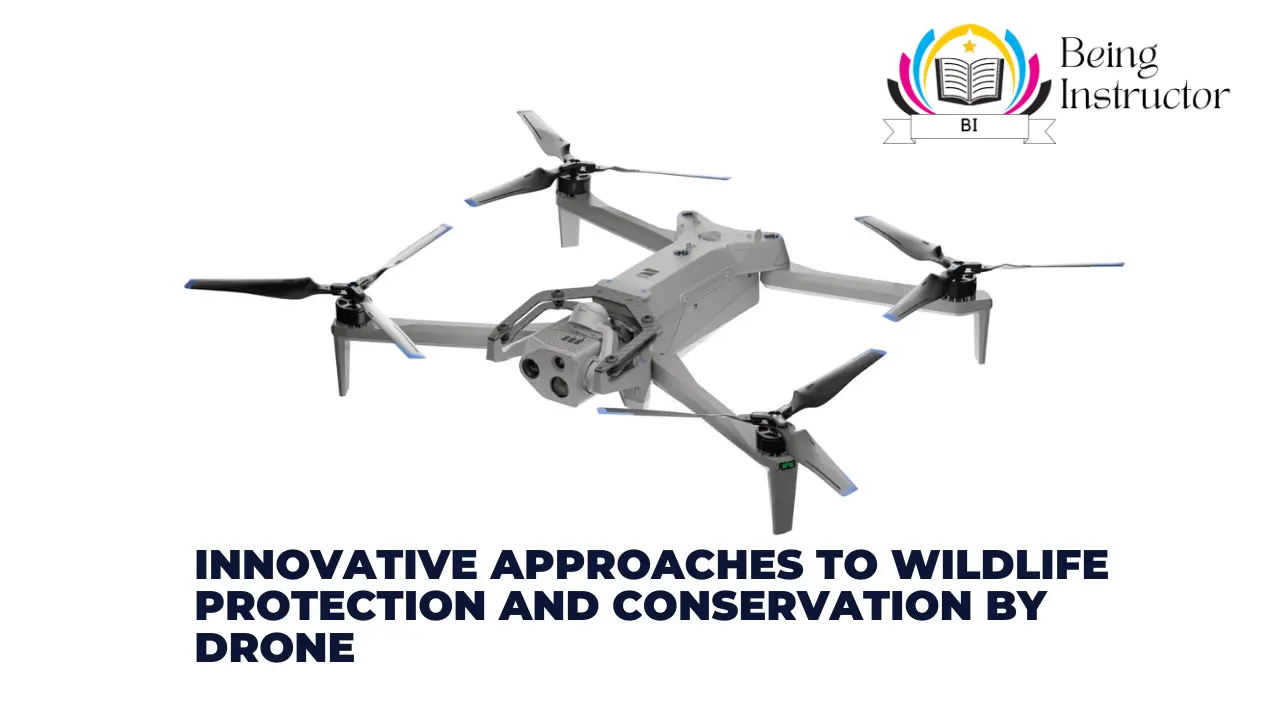 Innovative Approaches To Wildlife Protection And Conservation - Being ...